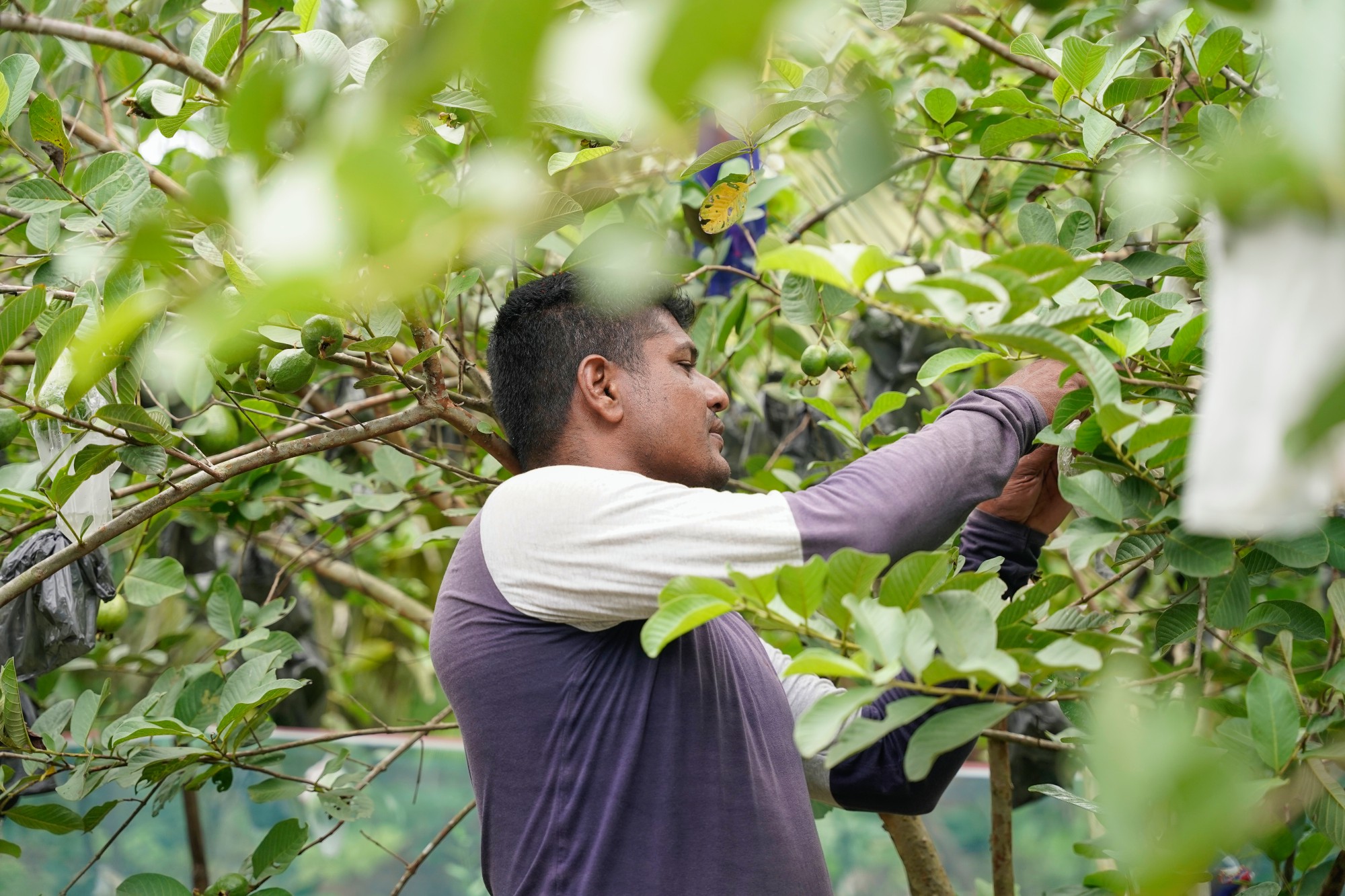 Collaborating for impact – global workshop | UNDP Climate Promise